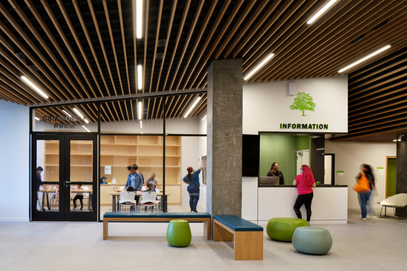 Chestnut Commons — Dattner Architects