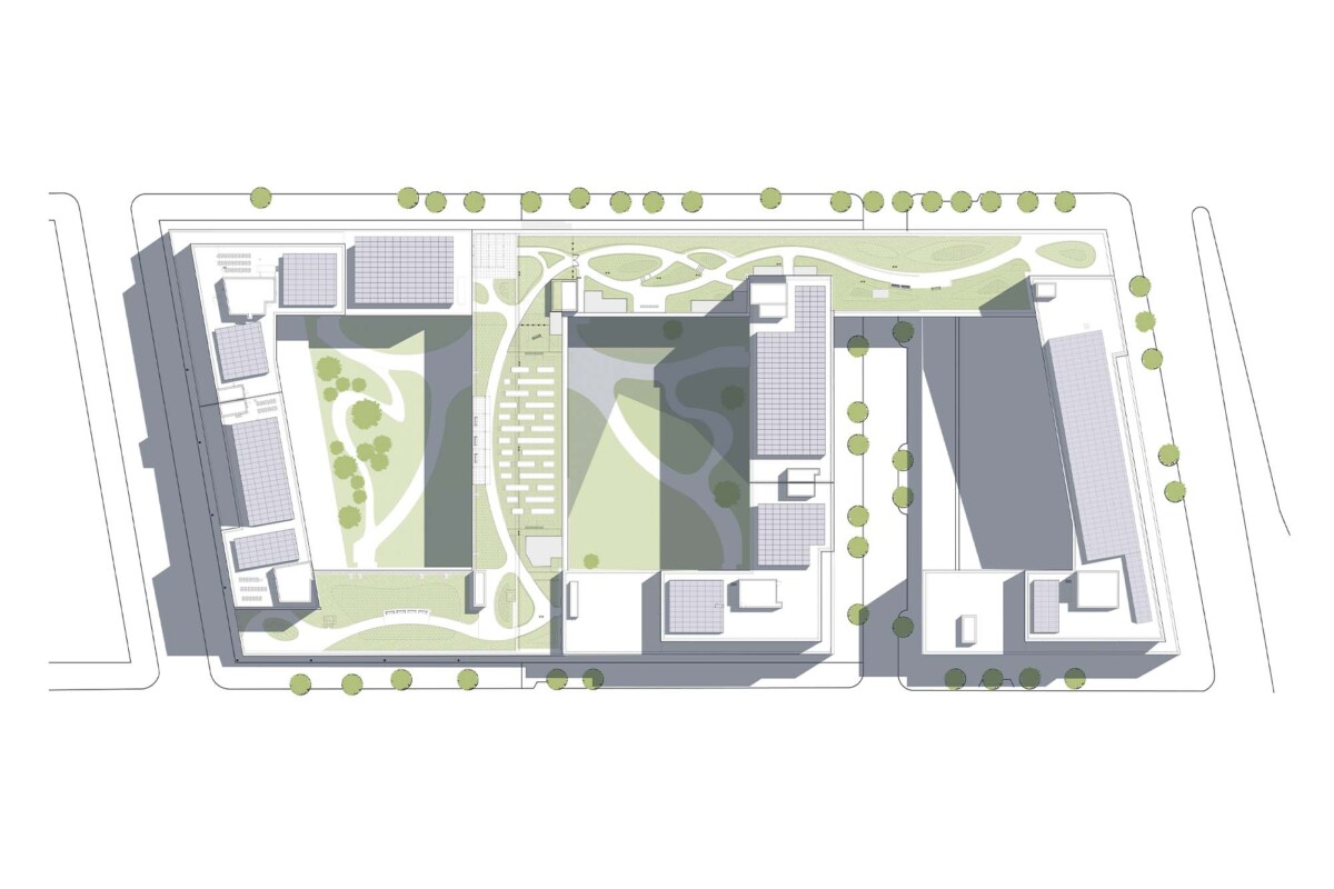 Atlantic Chestnut — Dattner Architects