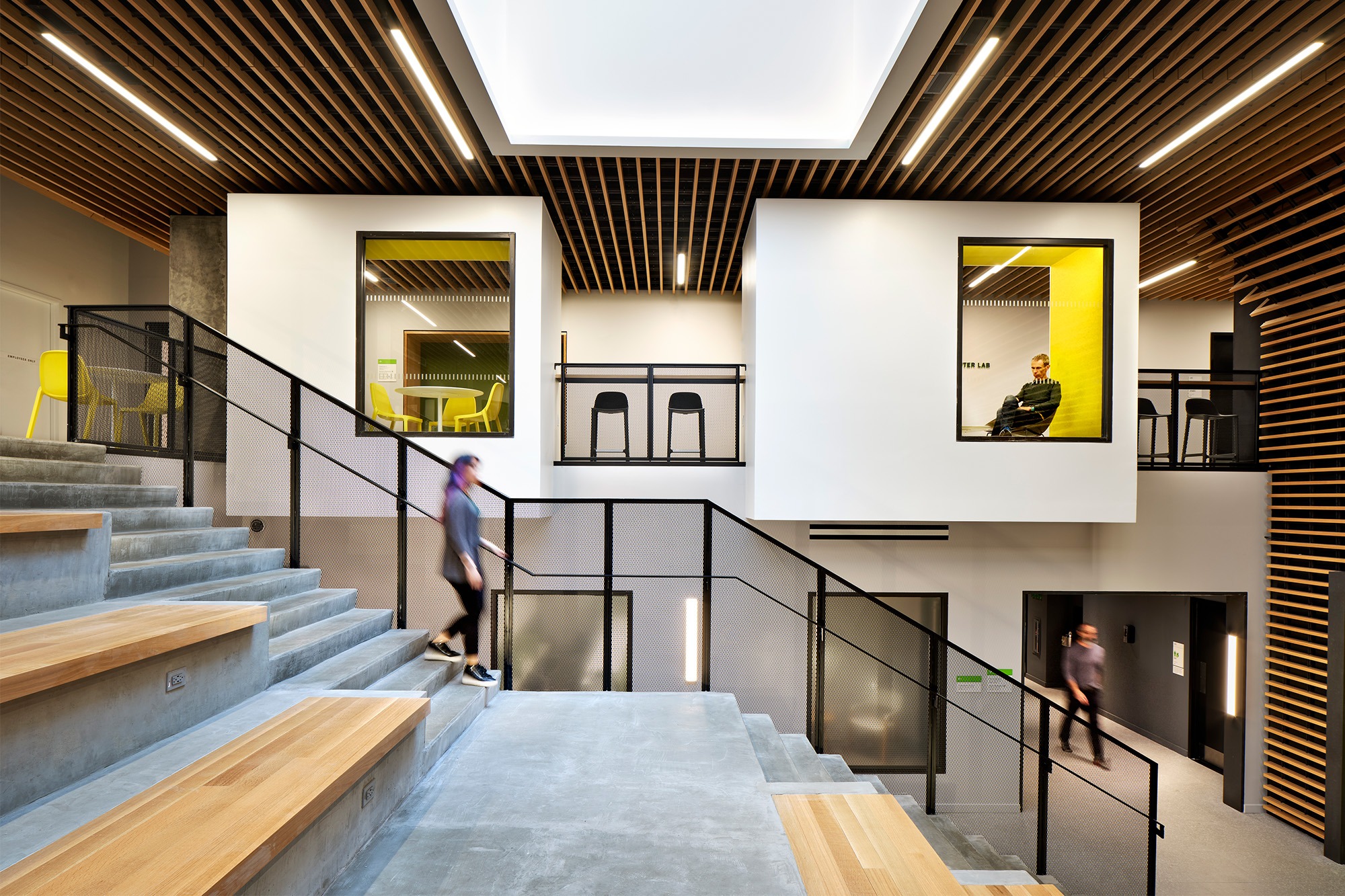 Chestnut Commons — Dattner Architects