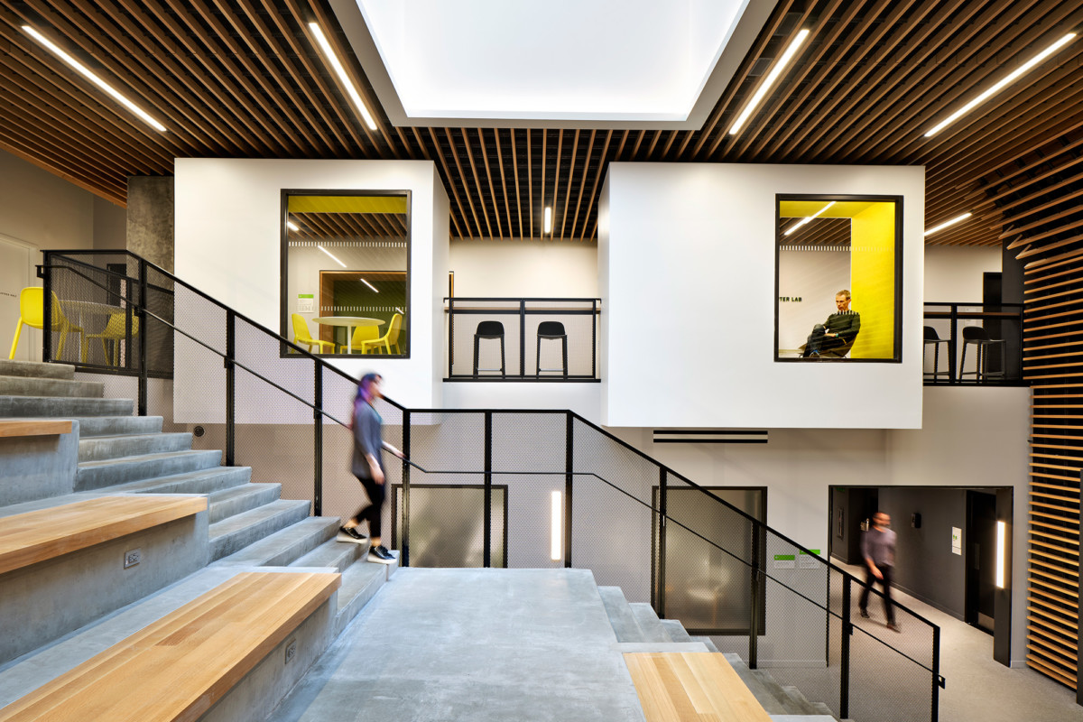 Chestnut Commons — Dattner Architects